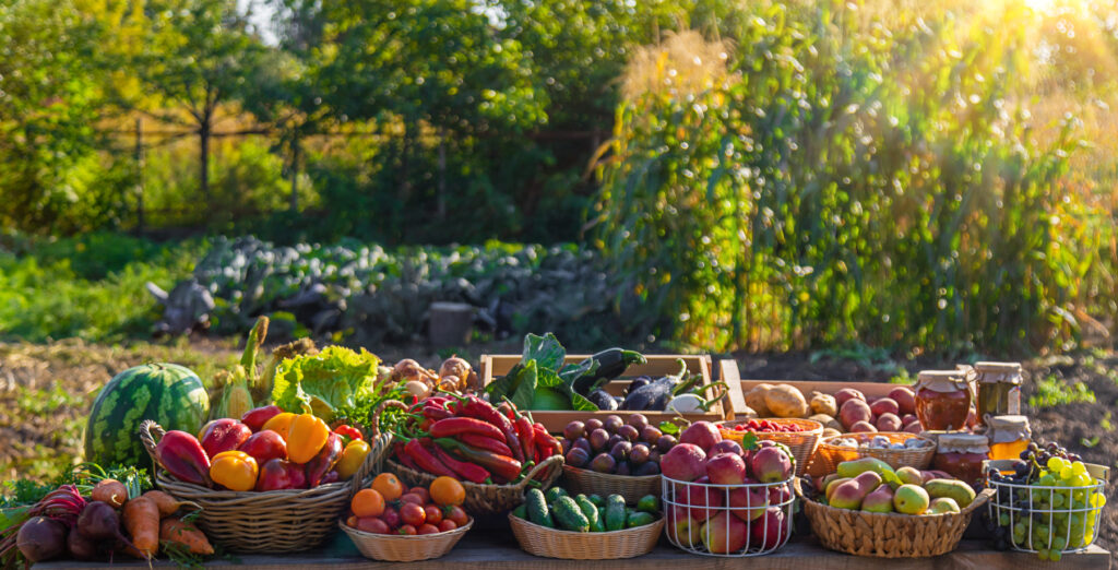 Nitrogen in Food: Essential for Human Nutrition